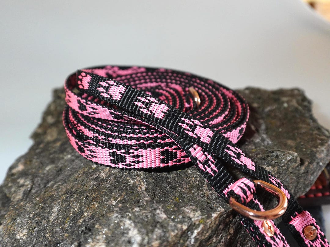 Dog Leash, Webbing Leash - Etsy