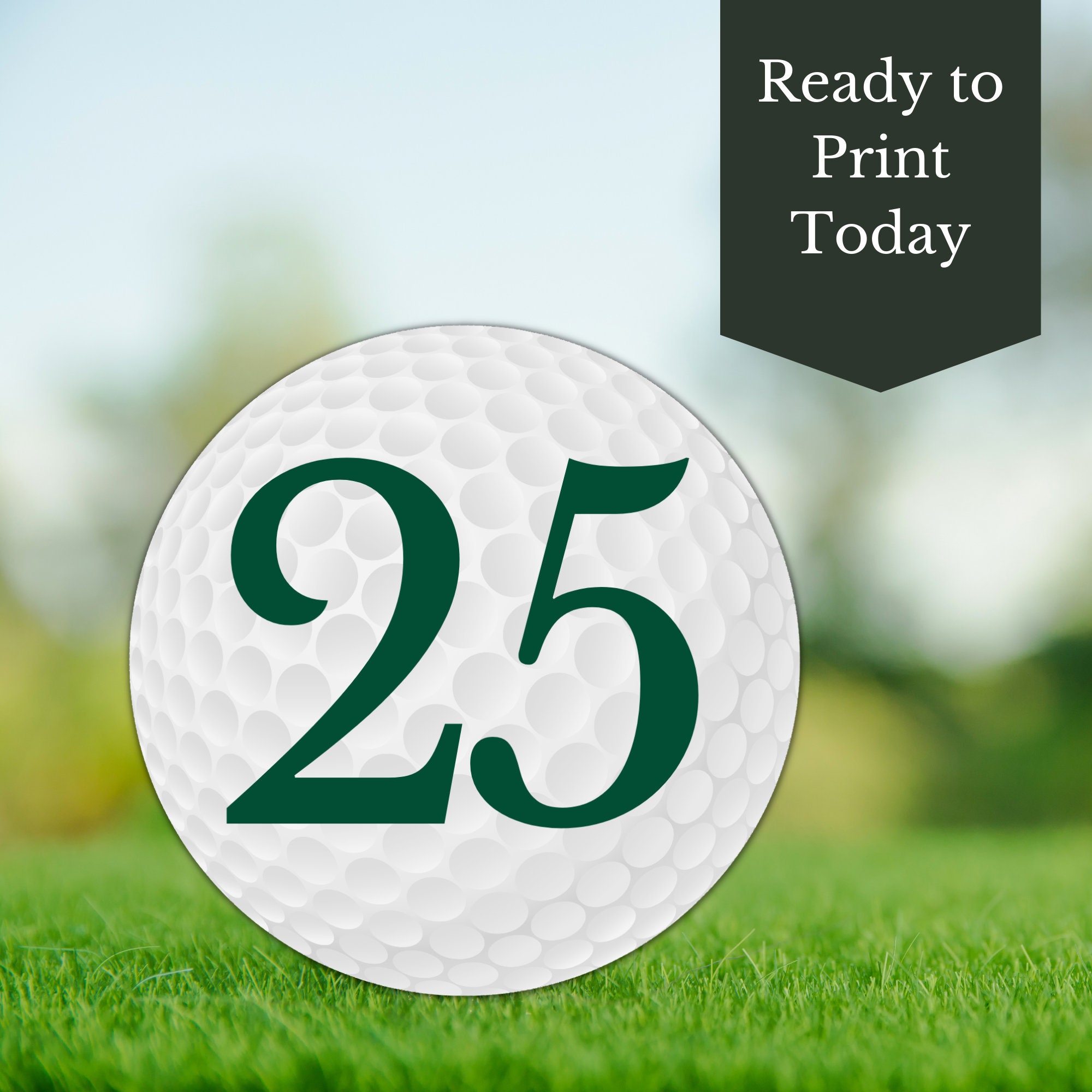 Golf Party Decor Printable Table Numbers Golf Ball Table Decor Birthday ...