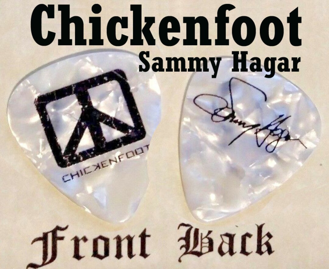Rock Band Signature Guitar Pick D13 - Etsy