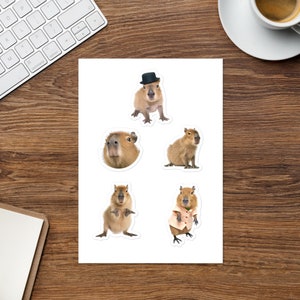 Capybara Sticker Sheet - Etsy