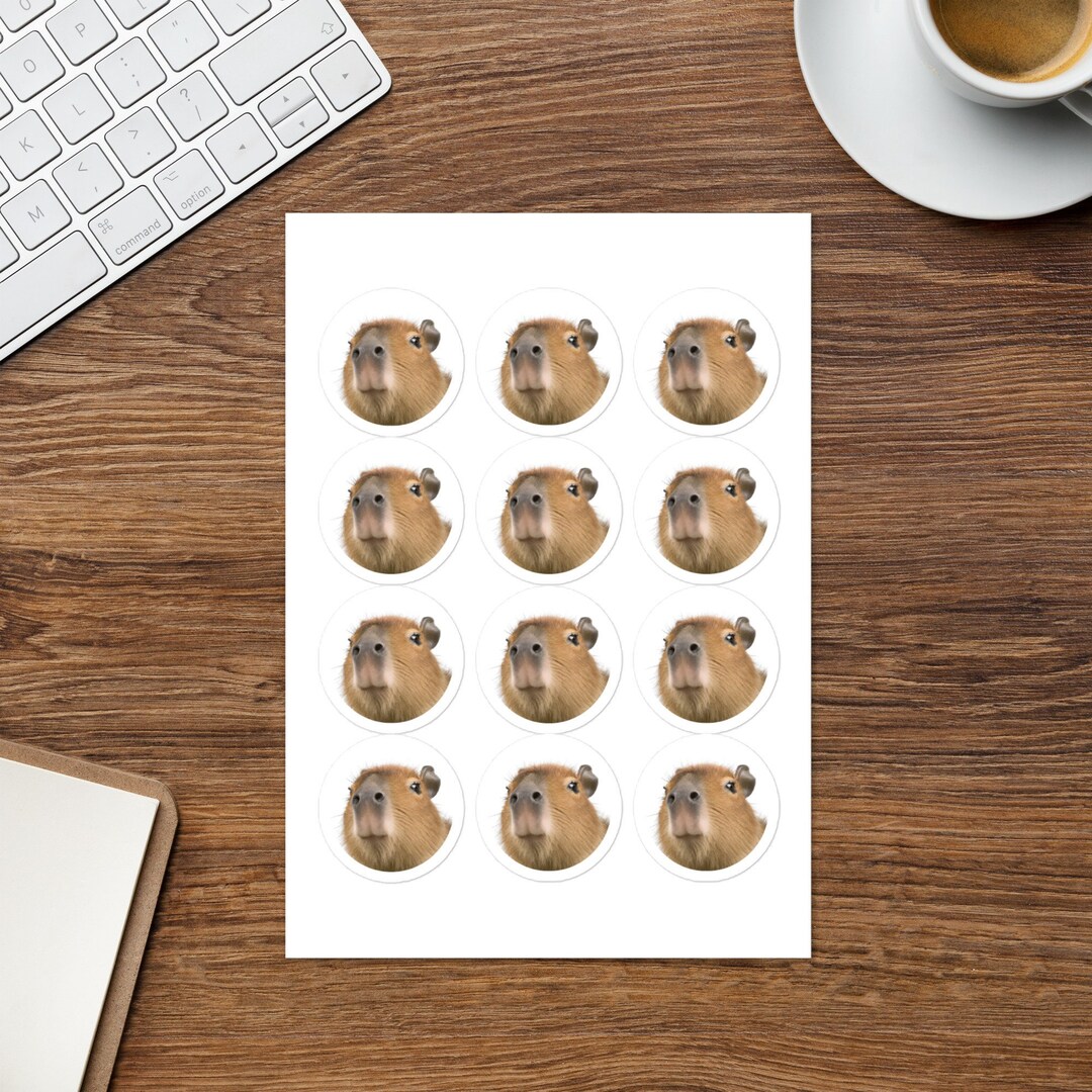 Smiling Capybara Sticker Sheet White, 12 Pcs - Etsy