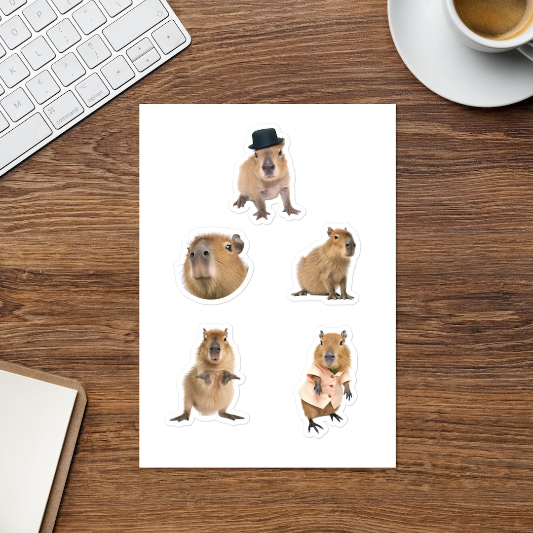 Capybara Sticker Sheet - Etsy