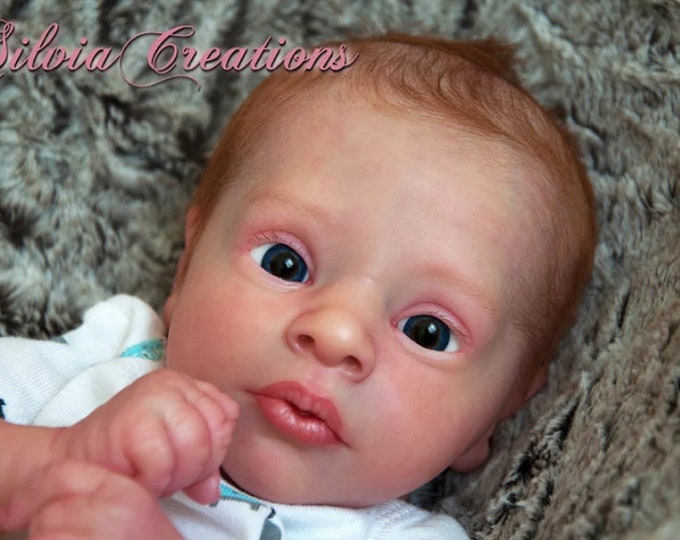PIPPA by Natali Blick ~ Limited Edition Reborn Vinyl Doll Kit ~ COA ...