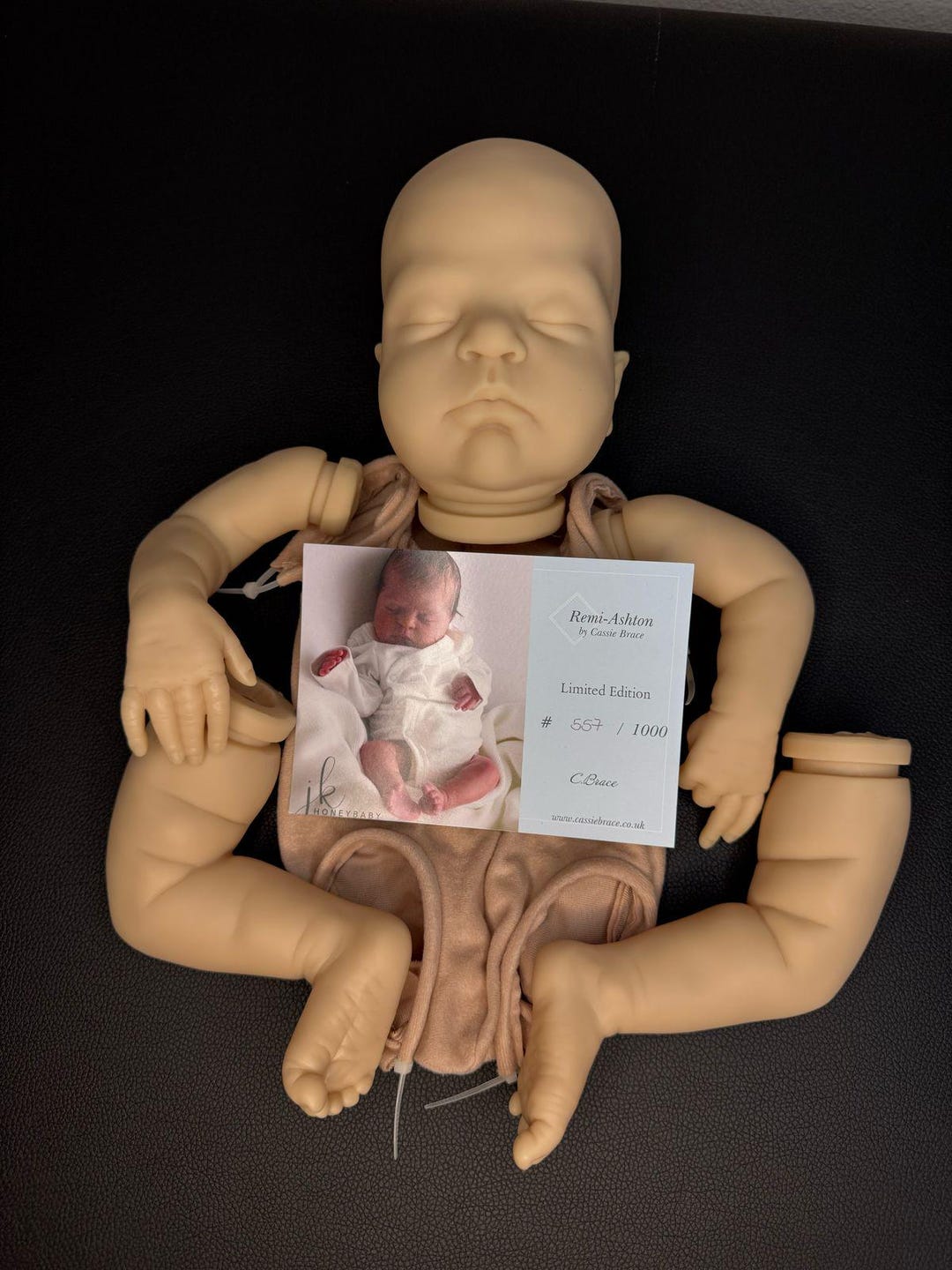 Remi-ashton by Cassie Brace Reborn Kit 20'' Limited Edition #557/1000 ...