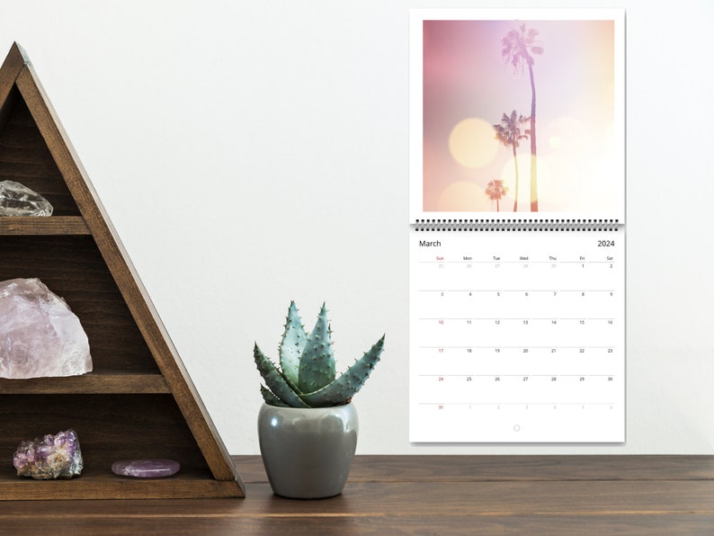 2026-2027 Palm Tree Wall Calendar – Tropical Sunset Beach Photography ...
