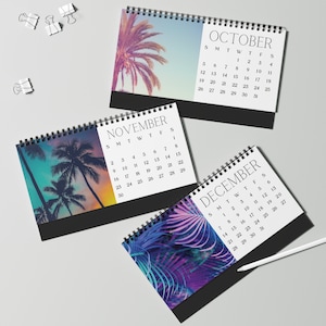 2026 Palm Trees Desk Calendar – Tropical Landscapes Photography ...