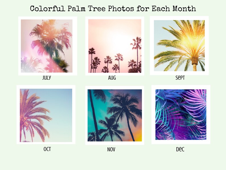 2026-2027 Palm Tree Wall Calendar – Tropical Sunset Beach Photography ...