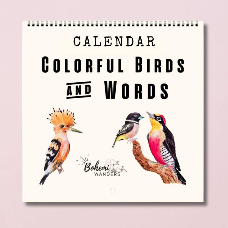 7x7 Wall Calendar 2026 - Etsy