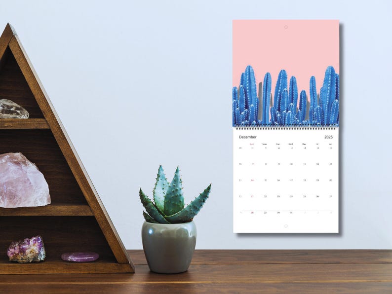 Cactus Lover Wall Calendar, Cacti Photography 2026 2027 Calendar ...