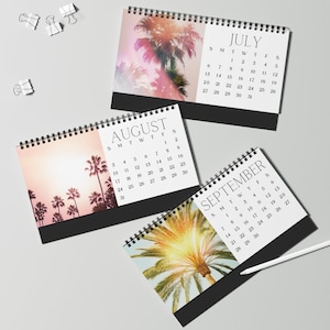 2026 2027 Palm Trees Desk Calendar – Tropical Landscapes Photography ...