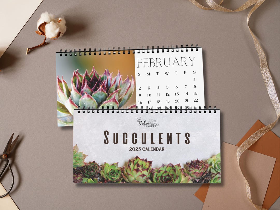 2025 Succulents and Cacti Desk Calendar, Cactus and Succulent ...