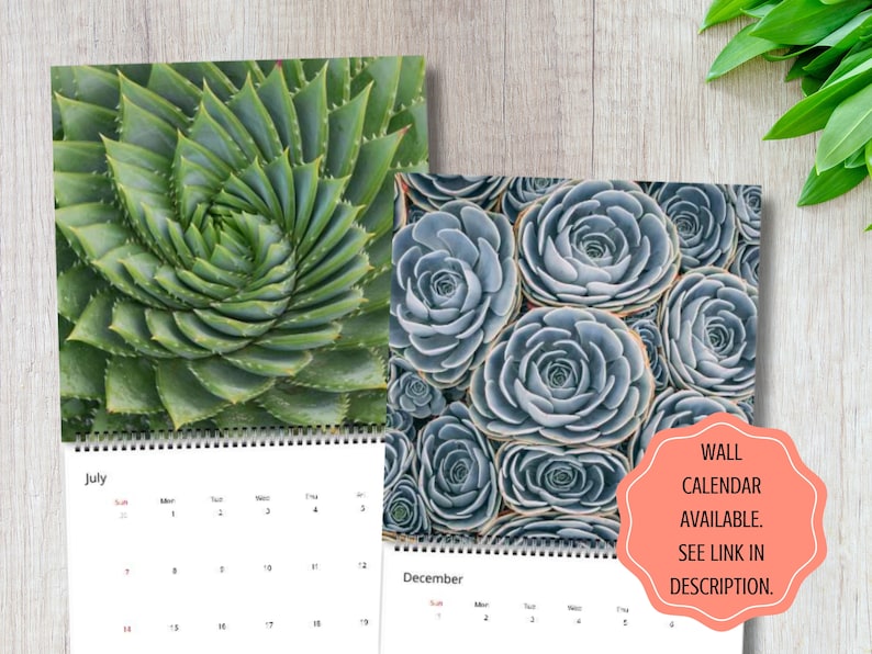 2026 2027 Succulent & Cactus Desk Calendar – Botanical Plant ...