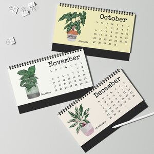 2025 Watercolor Houseplants Monthly Desk Calendar, Plant Lover Office ...