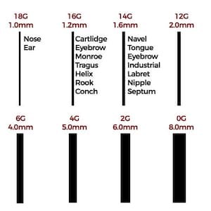 Amethyst Natural Stone CBR Piercing ASTM F-136 Implant Grade Titanium ...