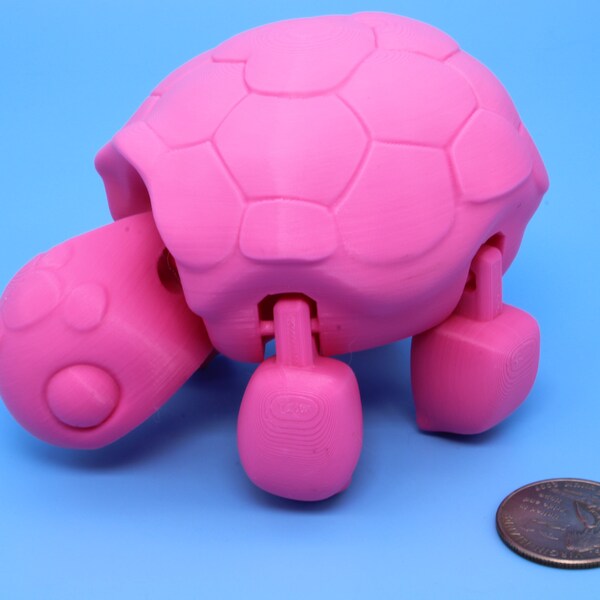 3d Printed Turtle Heart - Etsy