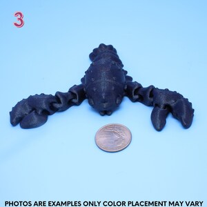 Lobster Burnt Titanium - 3D Printed | Layers in Green Authorized Seller ...