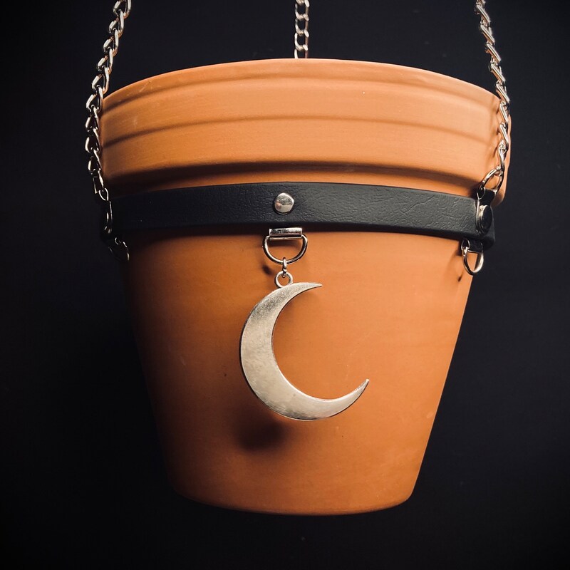 Moon Plant Pot - Etsy