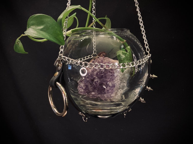 Hanging Terrarium, Vegan Leather + Chains With SPIKES & O-RING, 6 Inch ...