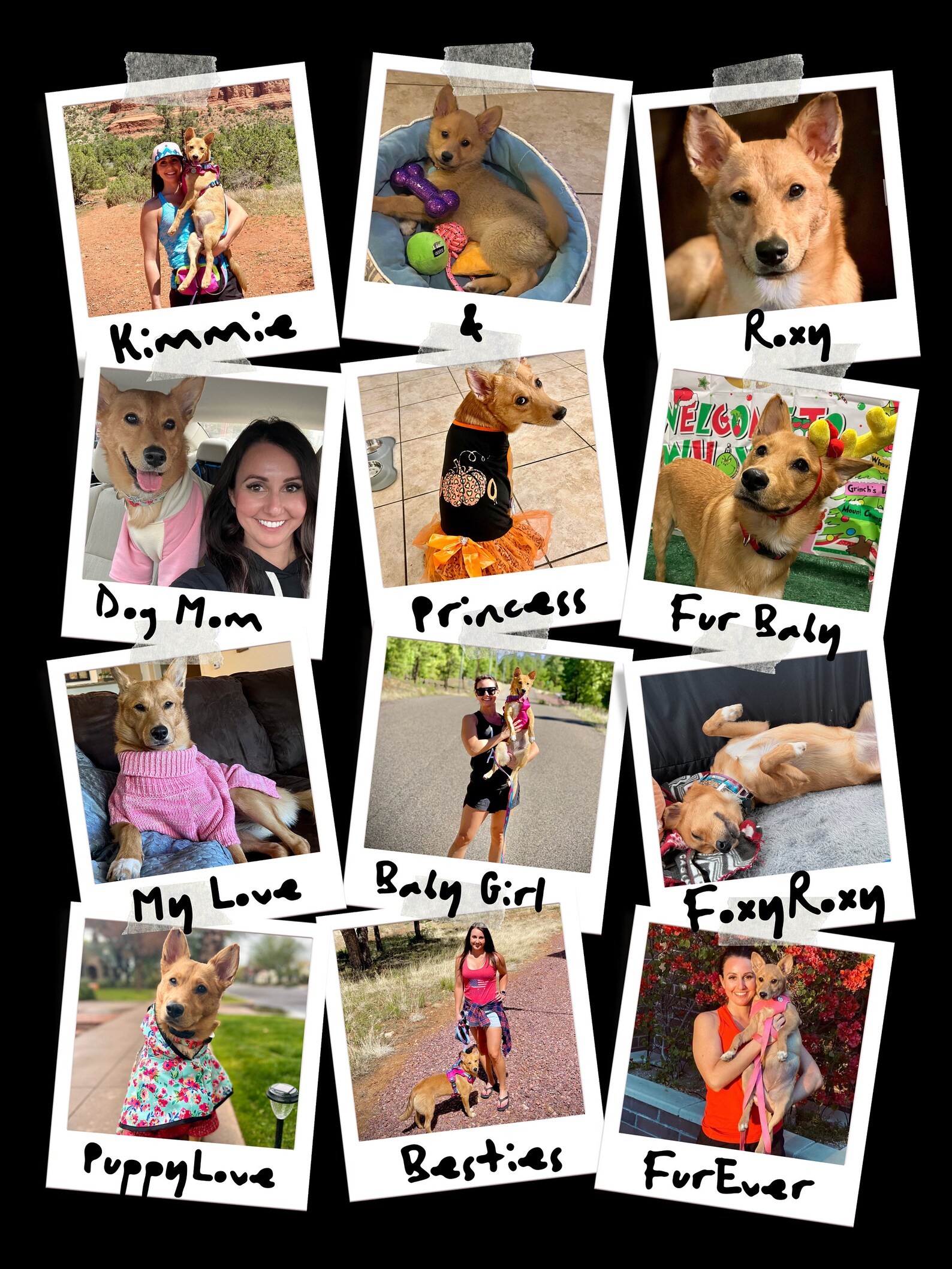 Custom Photo Collage Tee Shirt: Personalized Polaroid Style - Etsy