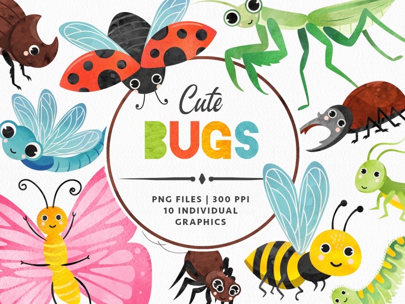 Cute Bugs Clipart Watercolor Effect Illustrations Insect Themed ...