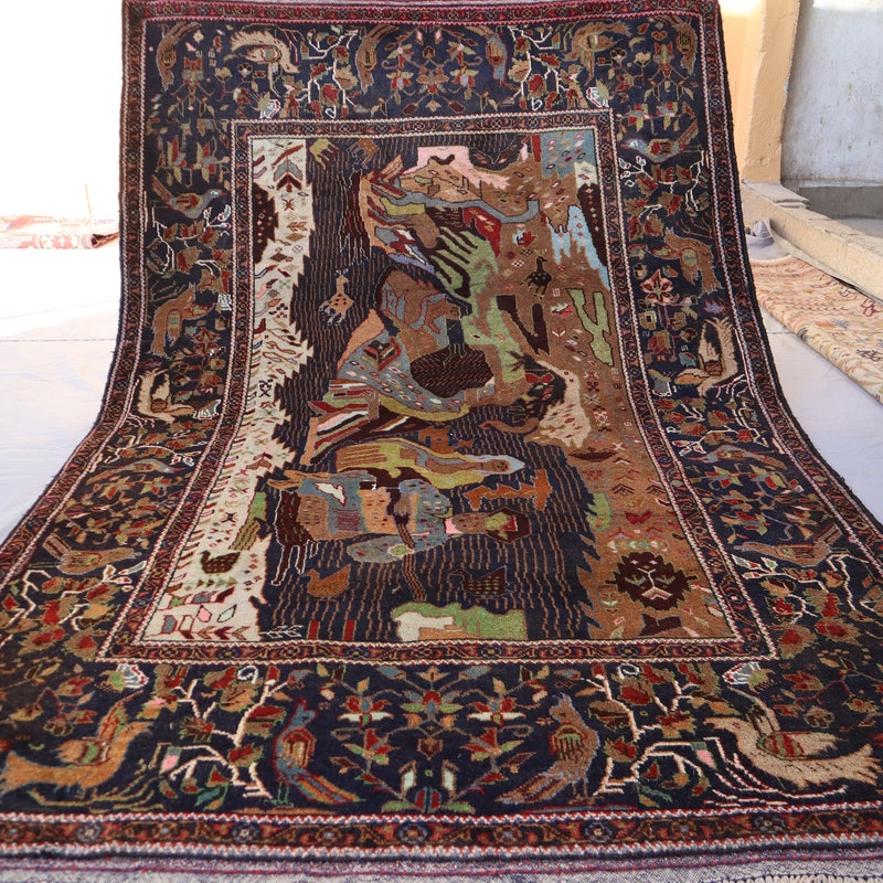 Pictorial Chinese Rug - Etsy
