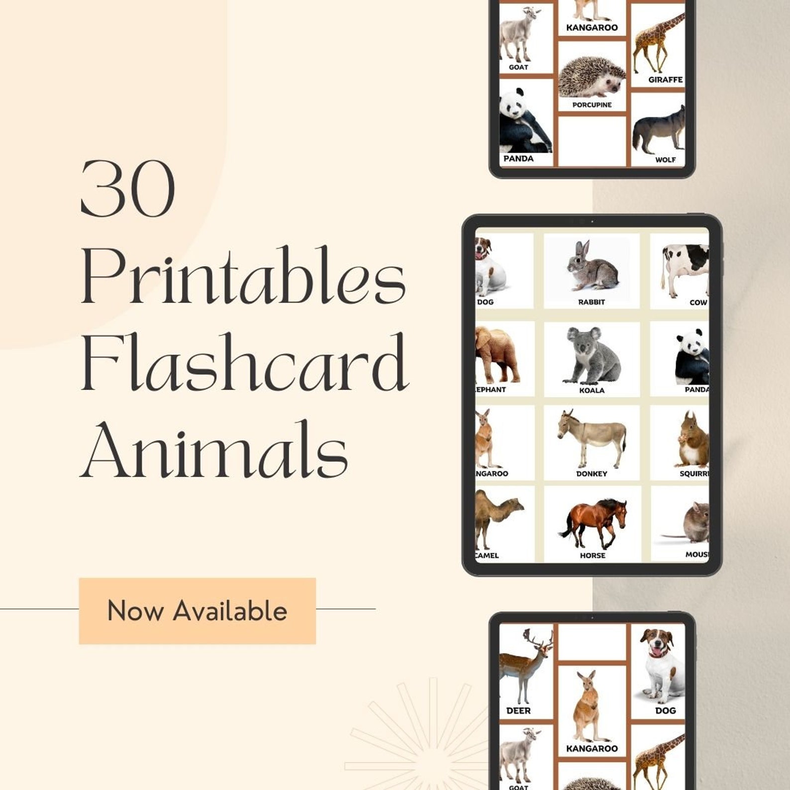 Educational Animal Flashcards for Kids | Digital Download | Learn ...