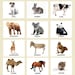 Educational Animal Flashcards for Kids | Digital Download | Learn ...