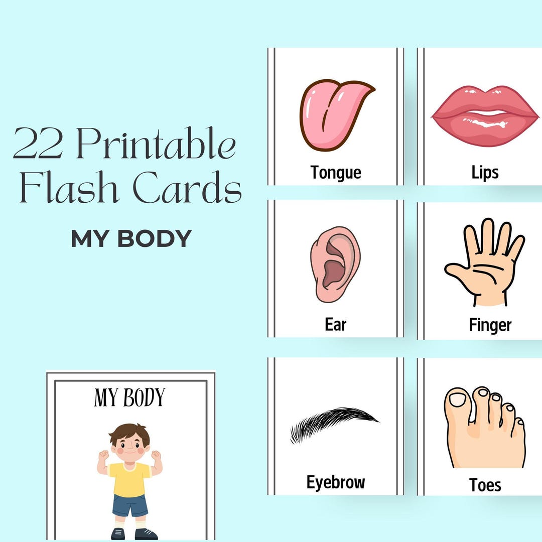 Educational My Body Flashcards for Kids | Digital Download | Learn ...