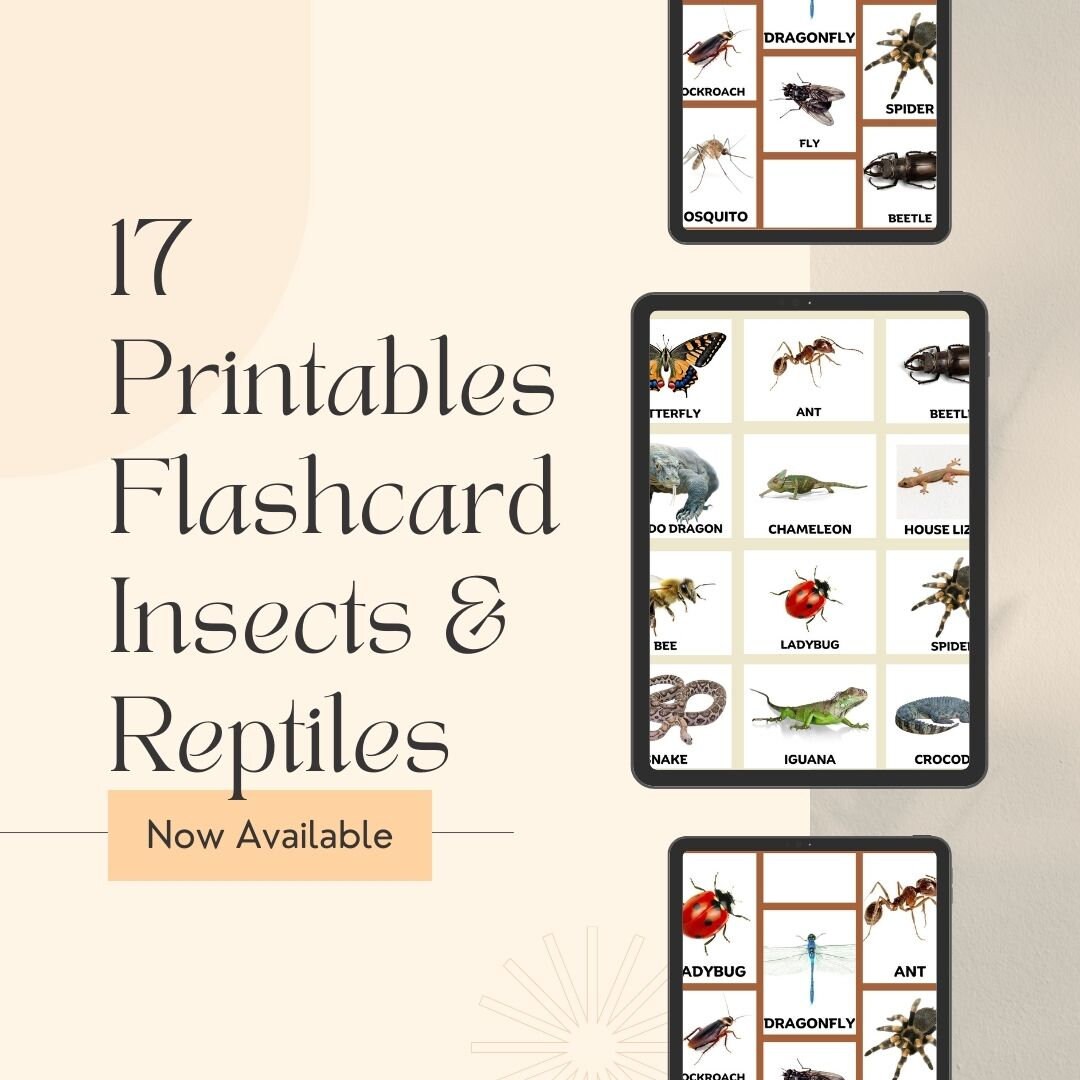 Educational Reptiles and Insects Flashcards for Kids | Digital Download ...