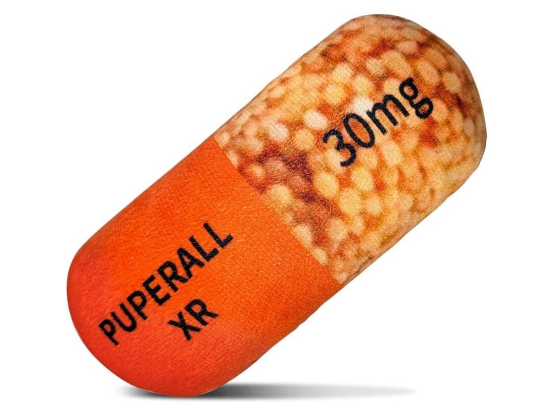 BC Doghouse Puperall XR Plush Parody Plush Squeaky Crinkle Dog Toy for ...