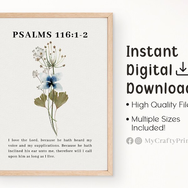 Set of 3 Prints - Etsy