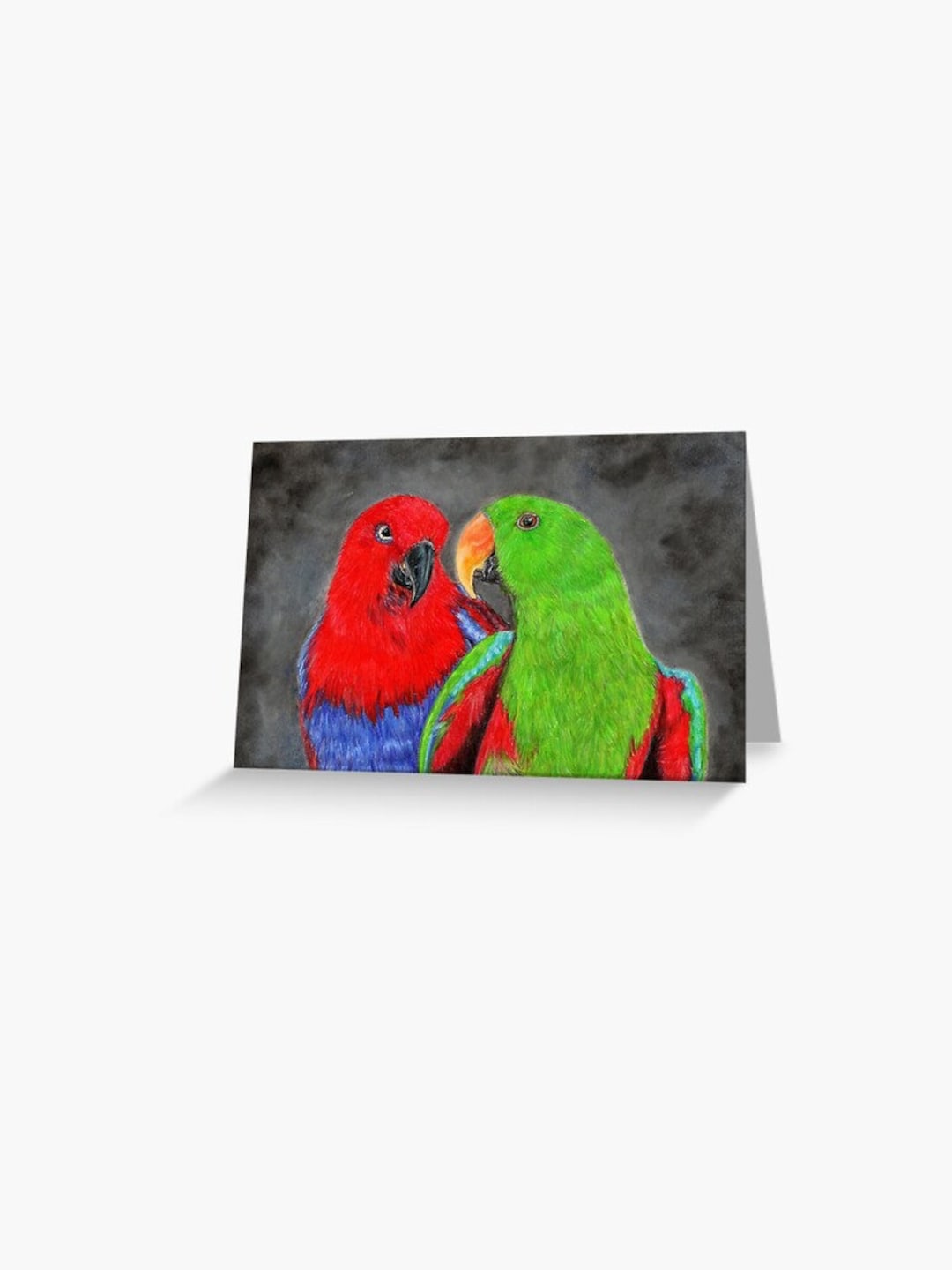 Eclectus Parrots Card Australian Bird Cards Blank Inside All Occasion ...