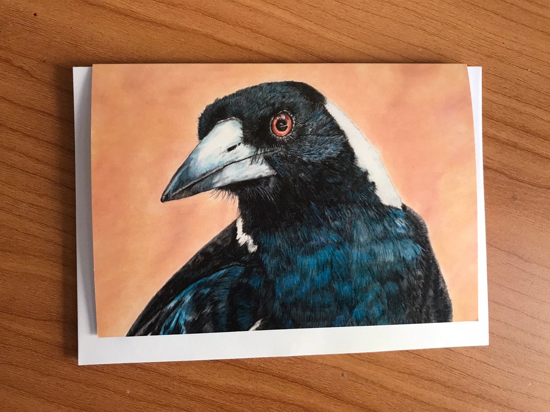 Australian Magpie Card, Australian Bird Art, All Occasion, Blank Inside ...
