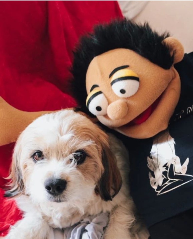 Custom Professional Hand Puppet Ventriloquist Puppet Everywhere Guy ...
