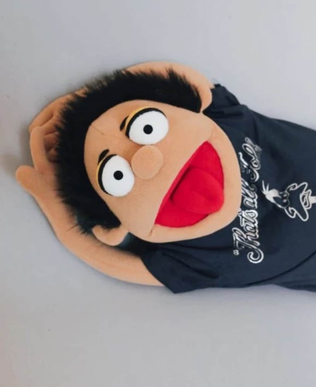 Custom Professional Hand Puppet Ventriloquist Puppet Everywhere Guy ...