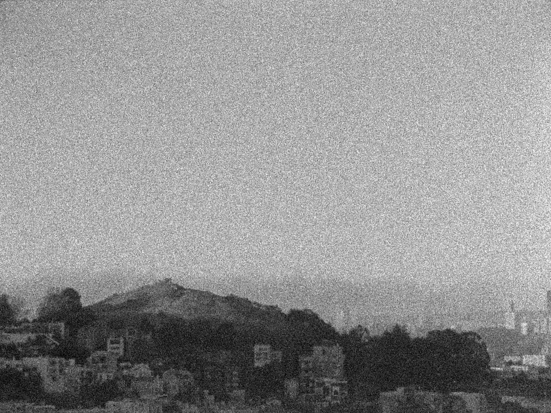 Portfolio of Twenty Stills From Perch - Etsy