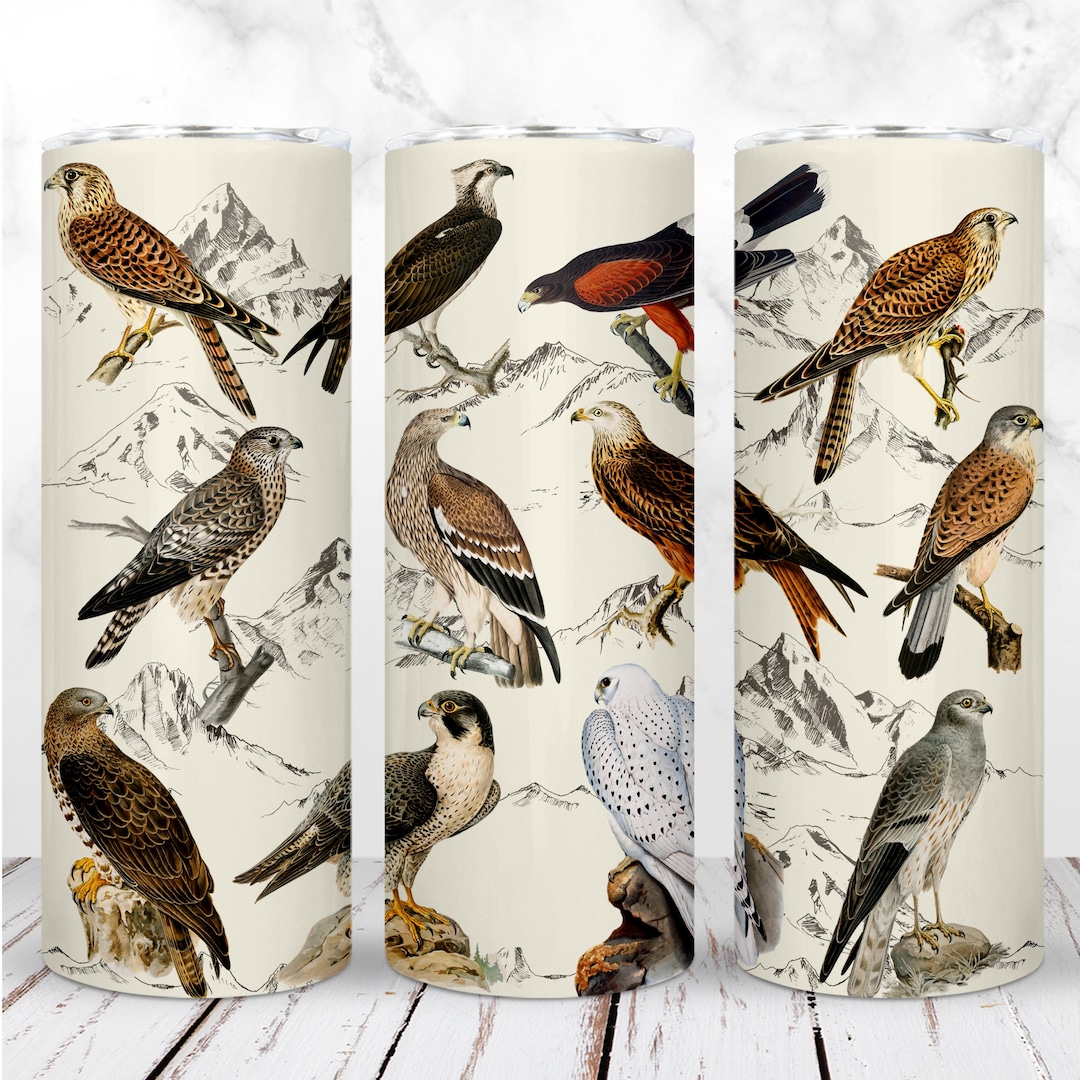 Falcons Tumbler Wrap PNG 20oz Skinny Tumbler Birds of Prey Raptors ...