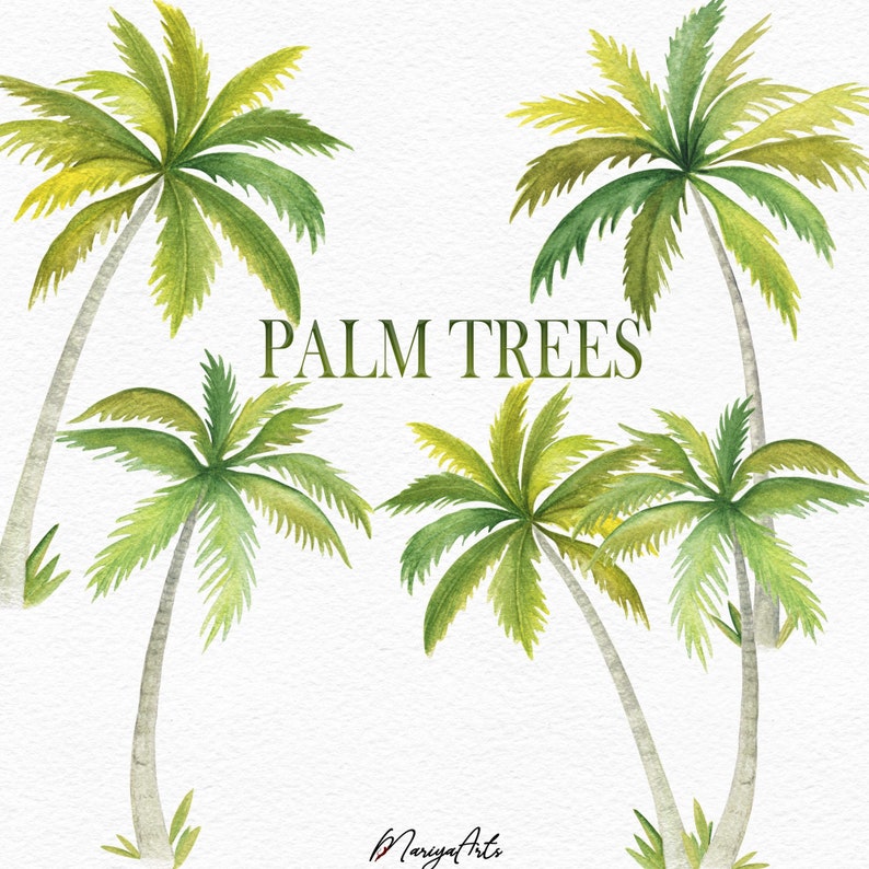 Palm Tree Clipart Watercolor Clip Art Double Palm Tree Summer Green ...