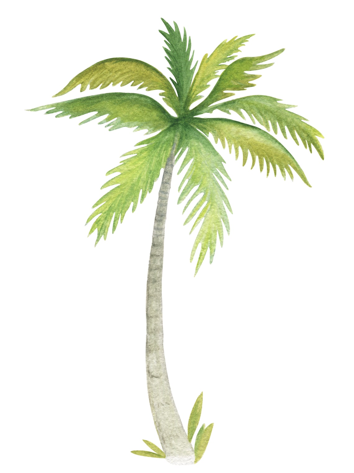 Palm Tree Clipart Watercolor Clip Art Double Palm Tree Summer - Etsy