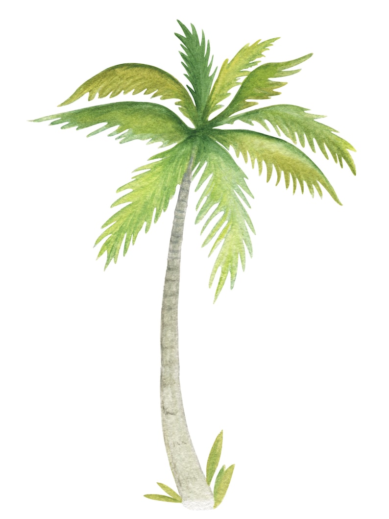 Palm Tree Clipart Watercolor Clip Art Double Palm Tree Summer Etsy