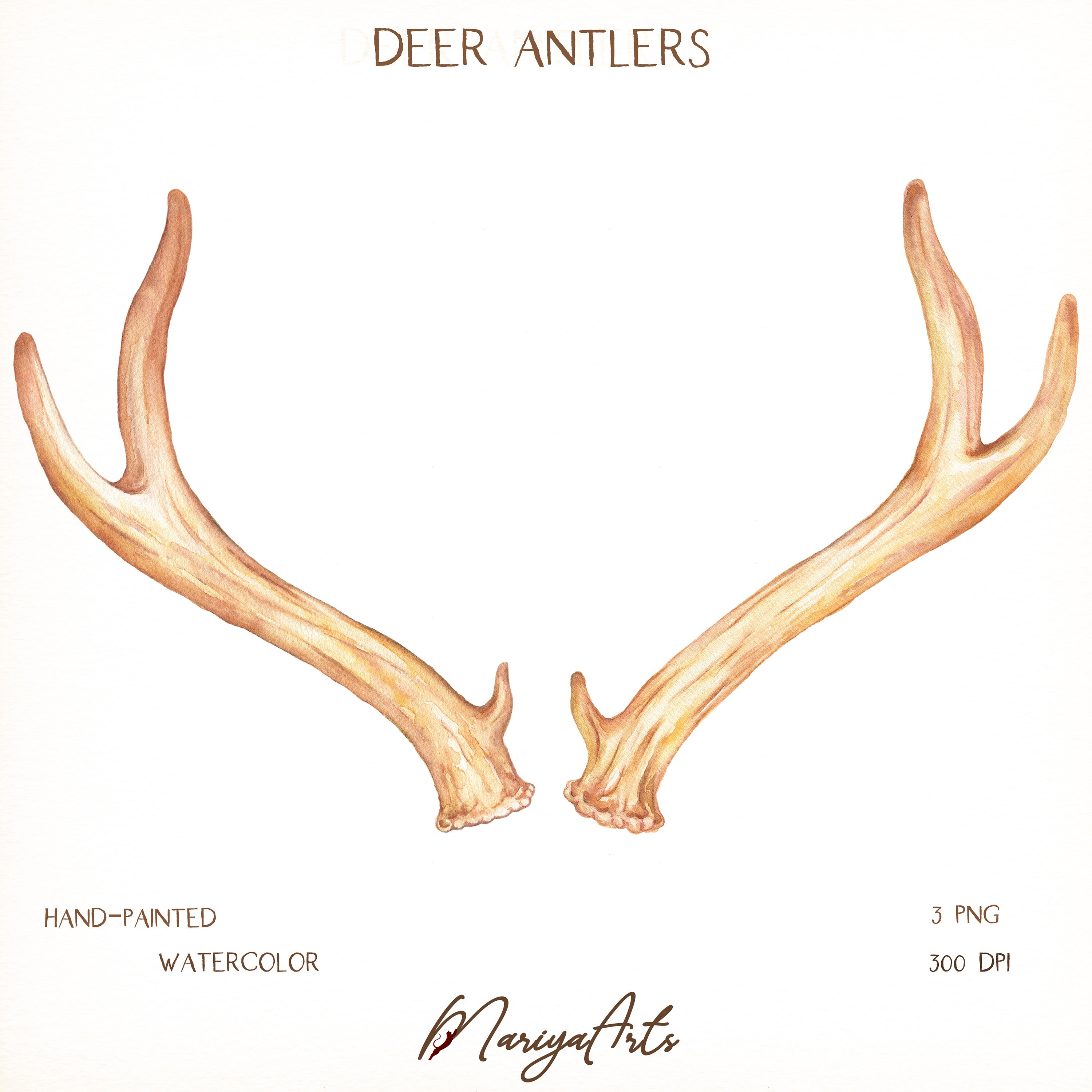 Watercolor Deer Antler Clipart PNG Horns Clip Art High-quality Hand ...