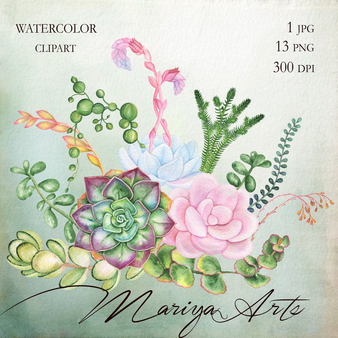 Succulent Plants Watercolor Clipart, Cacti Clip Art PNG, Hand Painted ...
