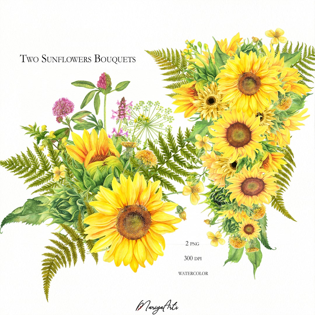 Watercolor Sunflowers Bouquet Clipart PNG Meadow Wild Flowers Wedding ...