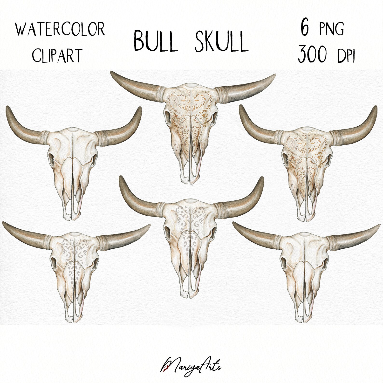 Bull Skull Watercolor Clipart, Engraved Cow Skull Clip Art, Horns ...