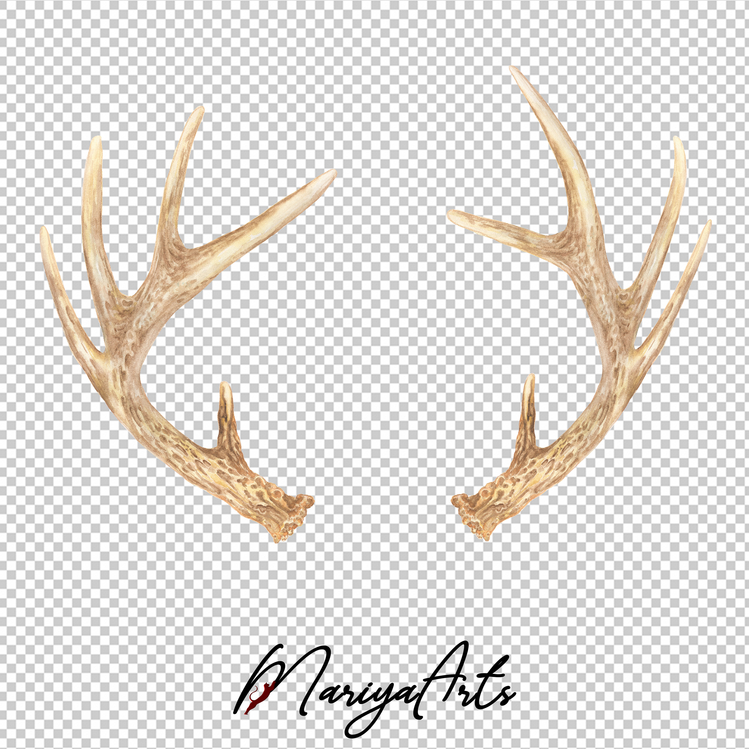 Watercolor Antler Clipart Deer PNG Bohemian Boho Horns Clip Art High ...