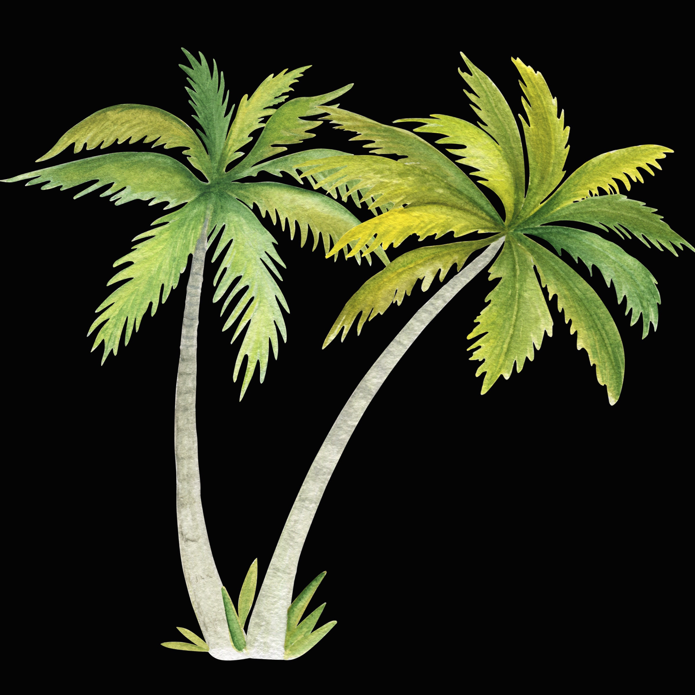 Palm Tree Clipart Watercolor Clip Art Double Palm Tree Summer - Etsy