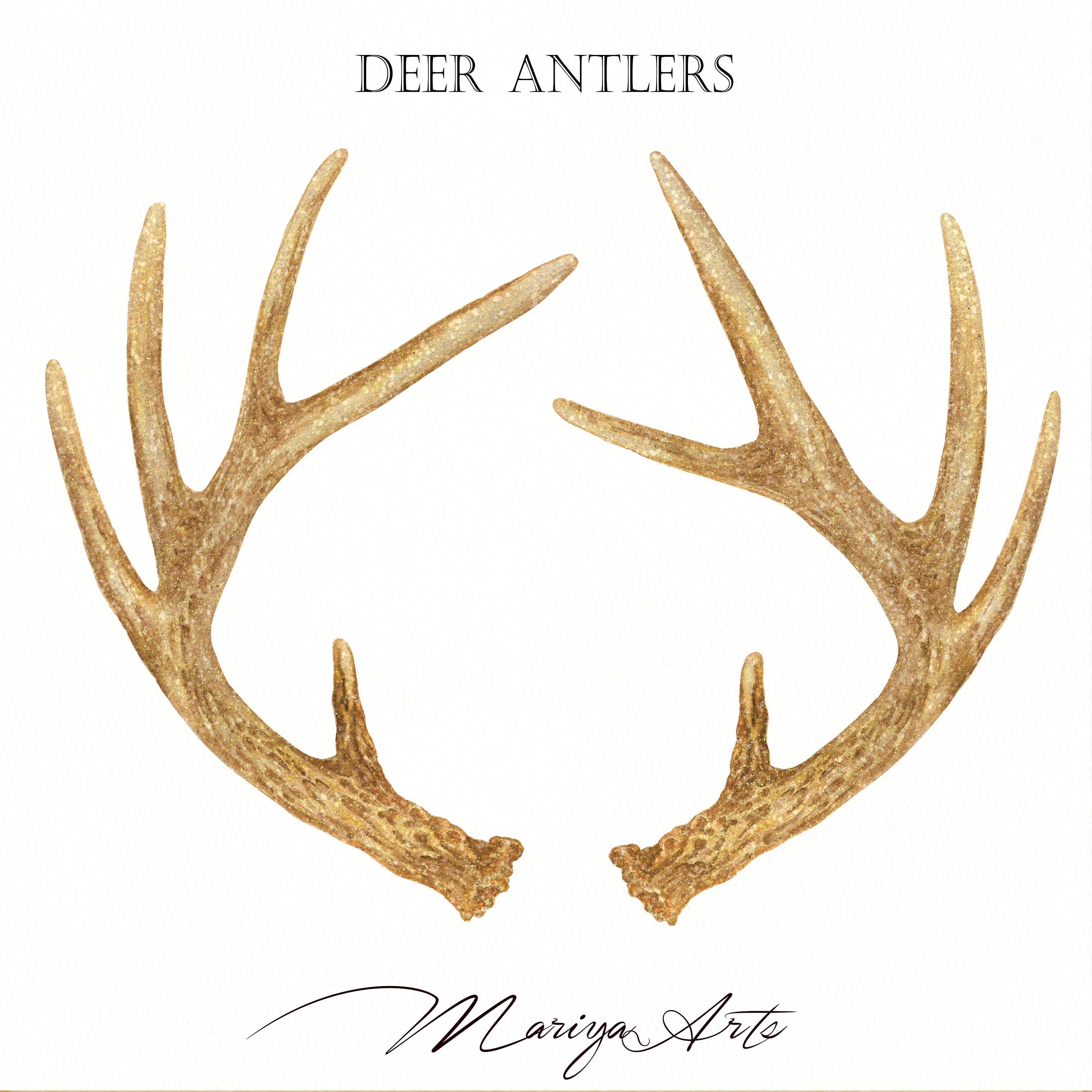 Gold Antlers Watercolor Clipart Deer Antler PNG Bohemian Boho Horn ...