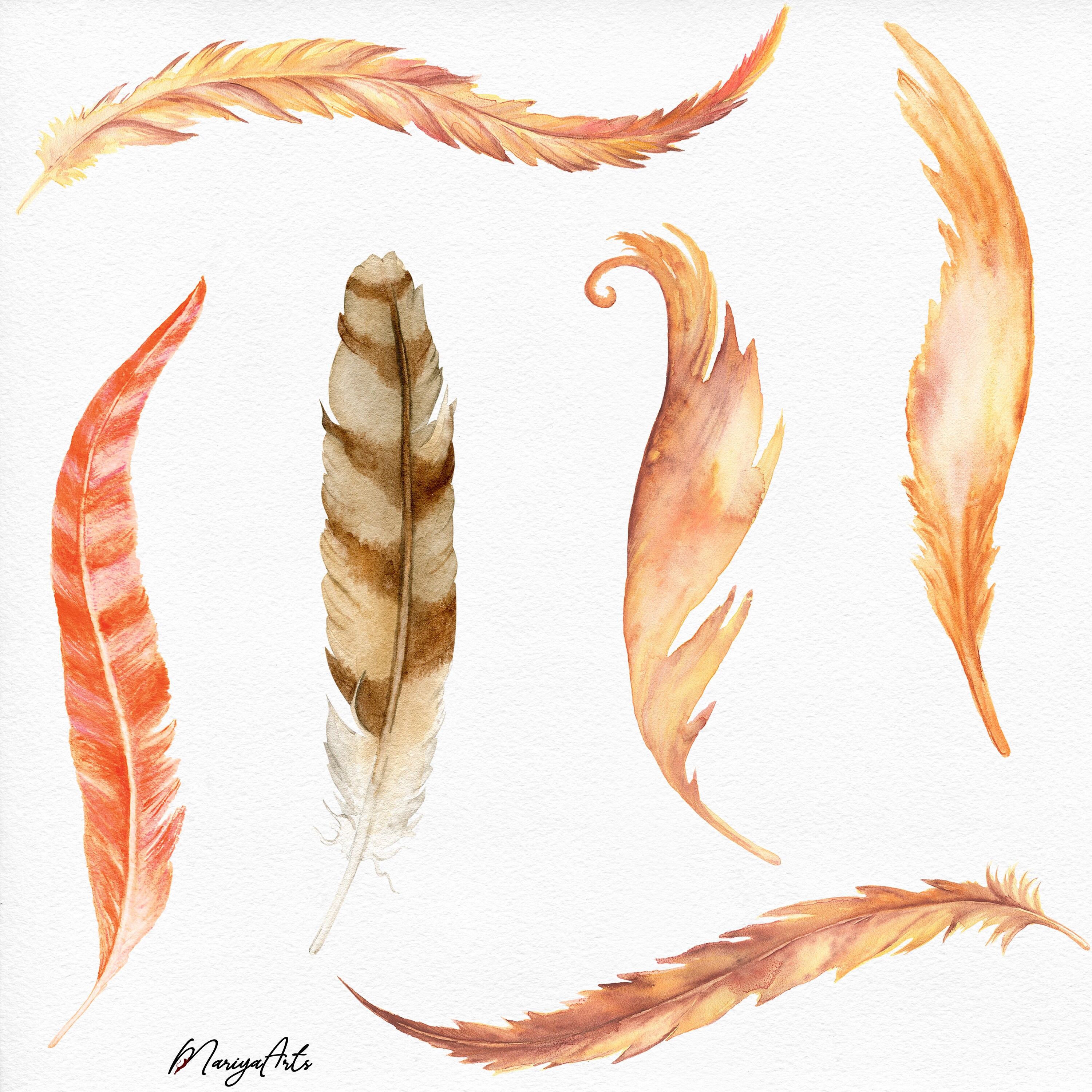 Feather Set Watercolor Clipart PNG Feathers Hand Painted Drawn - Etsy