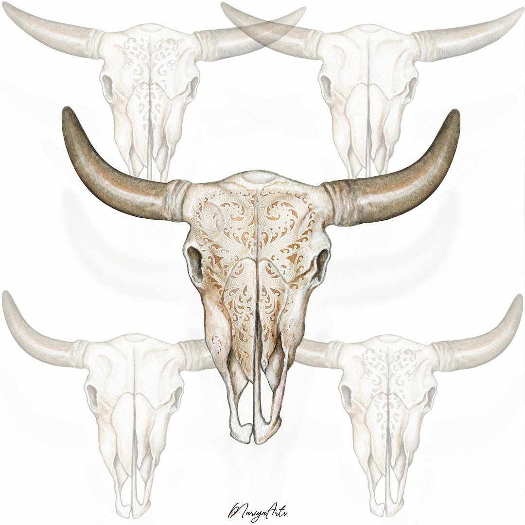Bull Skull Watercolor Clipart, Engraved Cow Skull Clip Art, Horns ...
