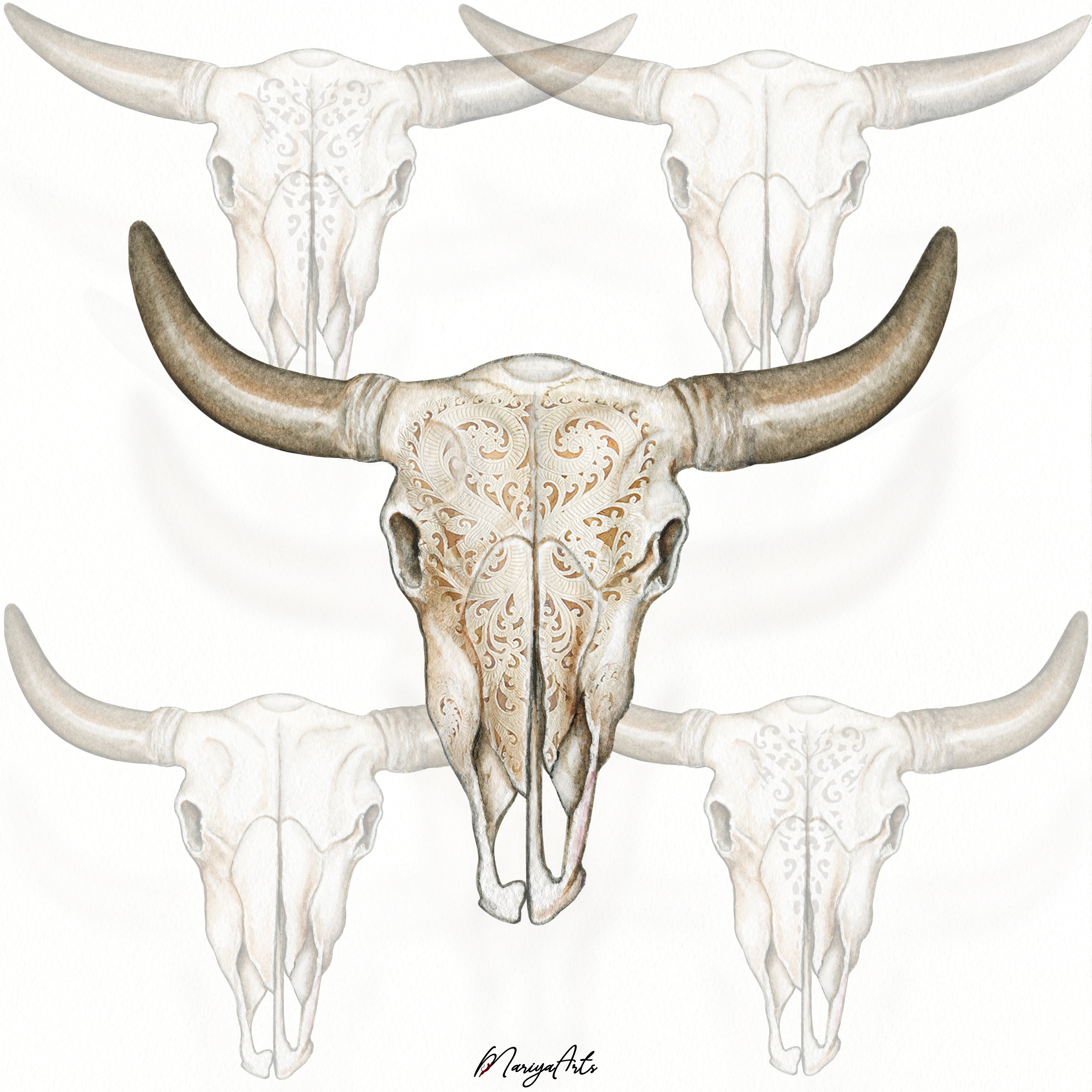 Bull Skull Watercolor Clipart, Engraved Cow Skull Clip Art, Horns ...